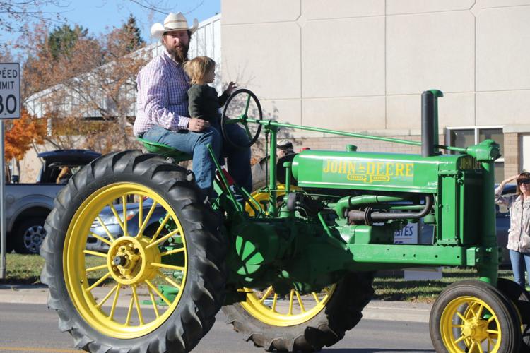 Video, photo gallery: Cedar City’s annual sheep parade | Events ...