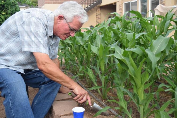 Escape the winter blues with SUU community education’s new lineup of ...