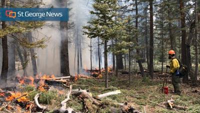 Forest Service to close Kaibab National Forest to public until ...