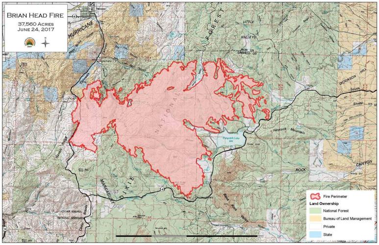 Brian Head Fire grows to over 37,500 acres | Local News | stgeorgeutah.com