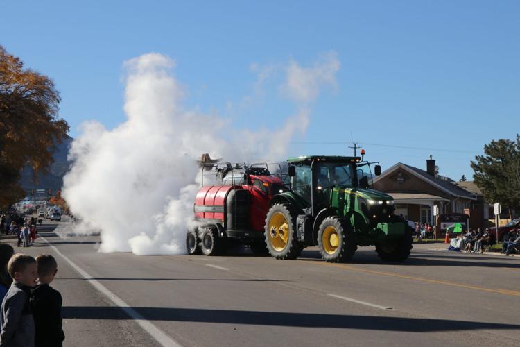Video, photo gallery: Cedar City’s annual sheep parade | Events ...