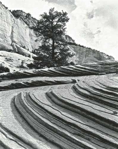 ‘Earth in Black & White’ art exhibit to open at Zion Human History ...
