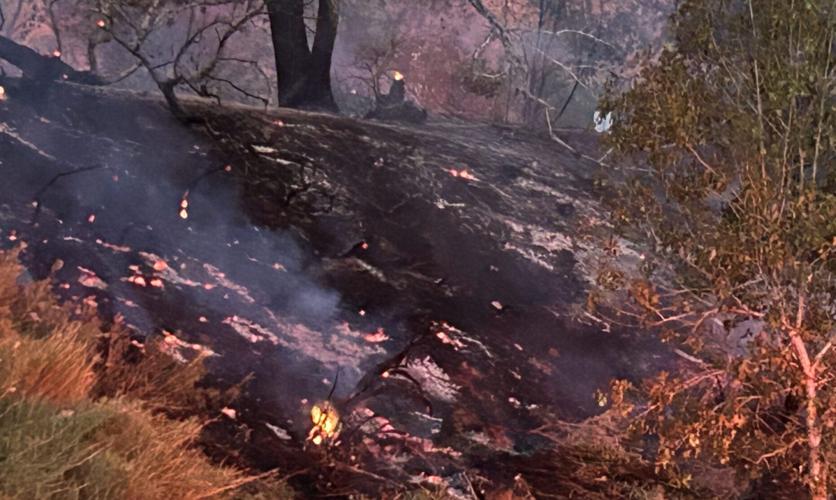 ‘Definitely human caused’: Brush fire flares up at Brooks Nature Park ...