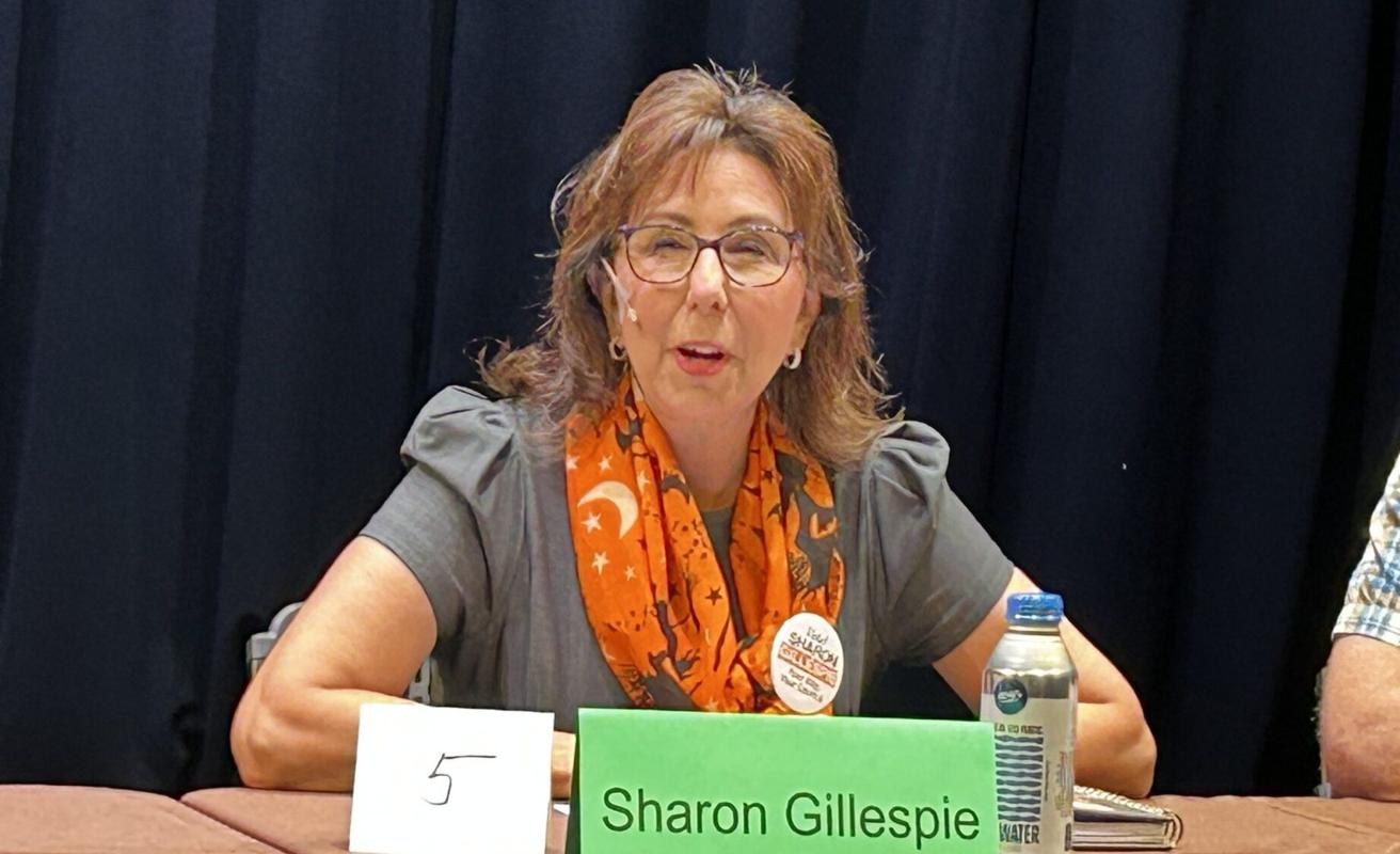 Ivins election guide: Candidates weigh in on matters of water, growth ...