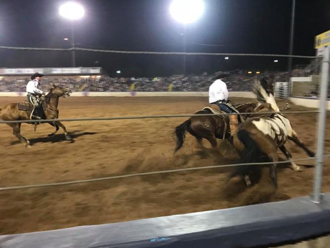86th annual Dixie Roundup Rodeo ‘a big success’ for St. George Lions ...