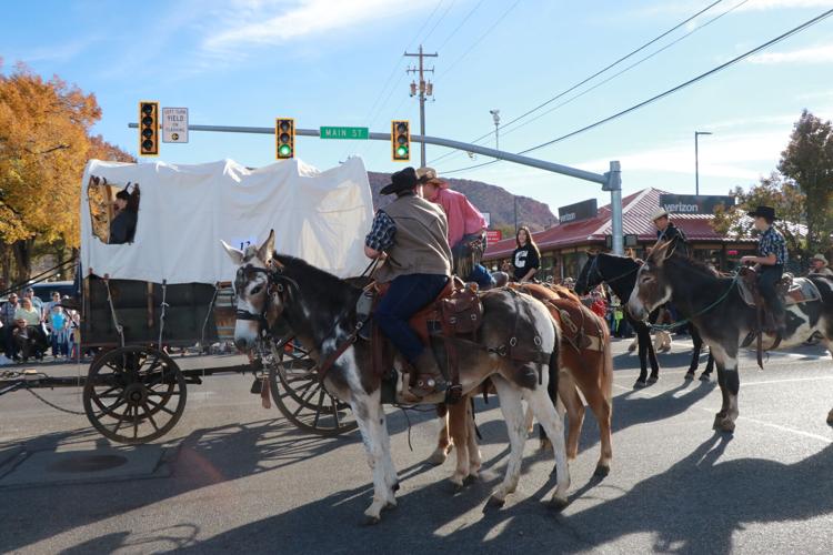 Photo gallery: Cedar City’s wild and woolly sheep parade | Events ...