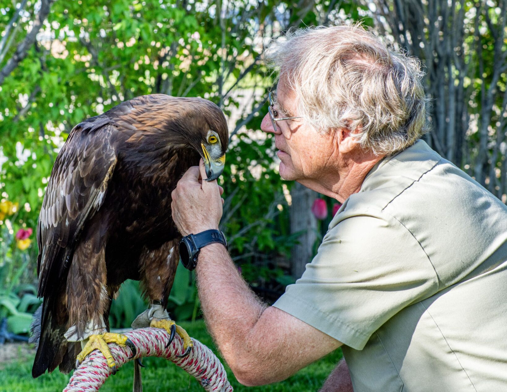 Get up close, but not too close, with birds of prey at Cedar City event ...