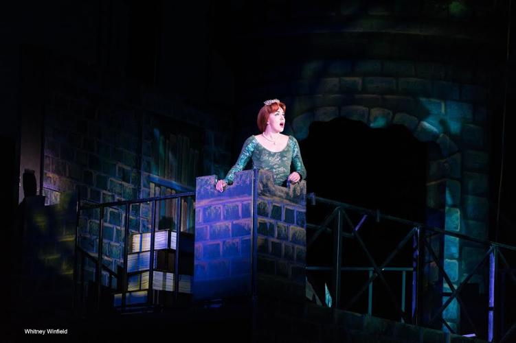 Review: Fireworks, ‘freaks’ and Fiona highlight ‘Shrek: The Musical ...