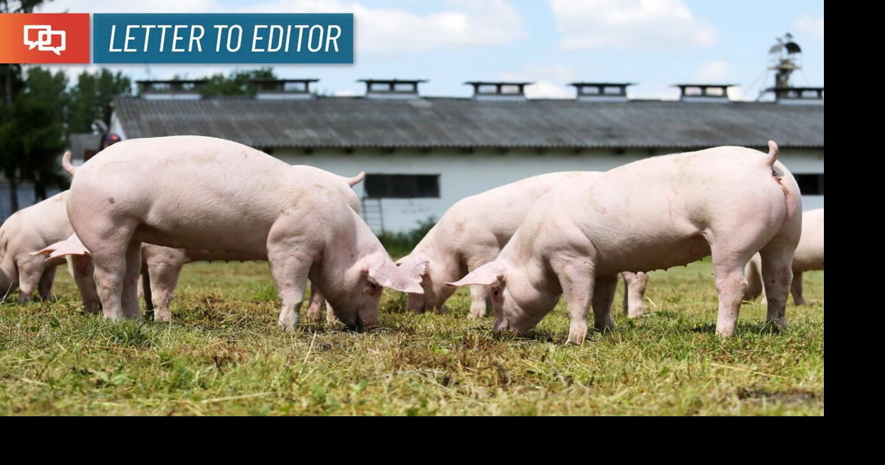 Letter to the Editor: From hog manure to geothermal energy, Southern ...