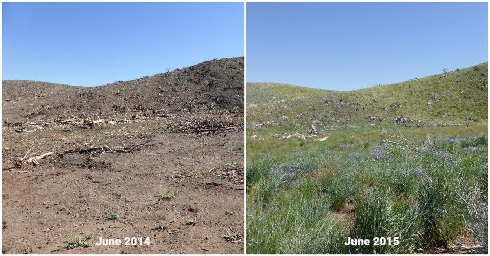 How has Bureau of Land Management’s emergency stabilization program ...