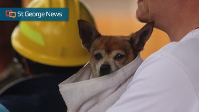 Couple displaced, 2 dogs dead following Ivins house fire | Flood And ...
