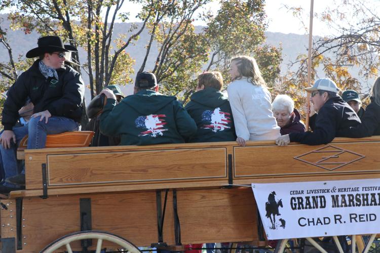 Photo gallery: Hundreds of sheep parade down Main Street at annual ...