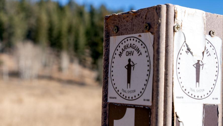 Photo Gallery | | stgeorgeutah.com