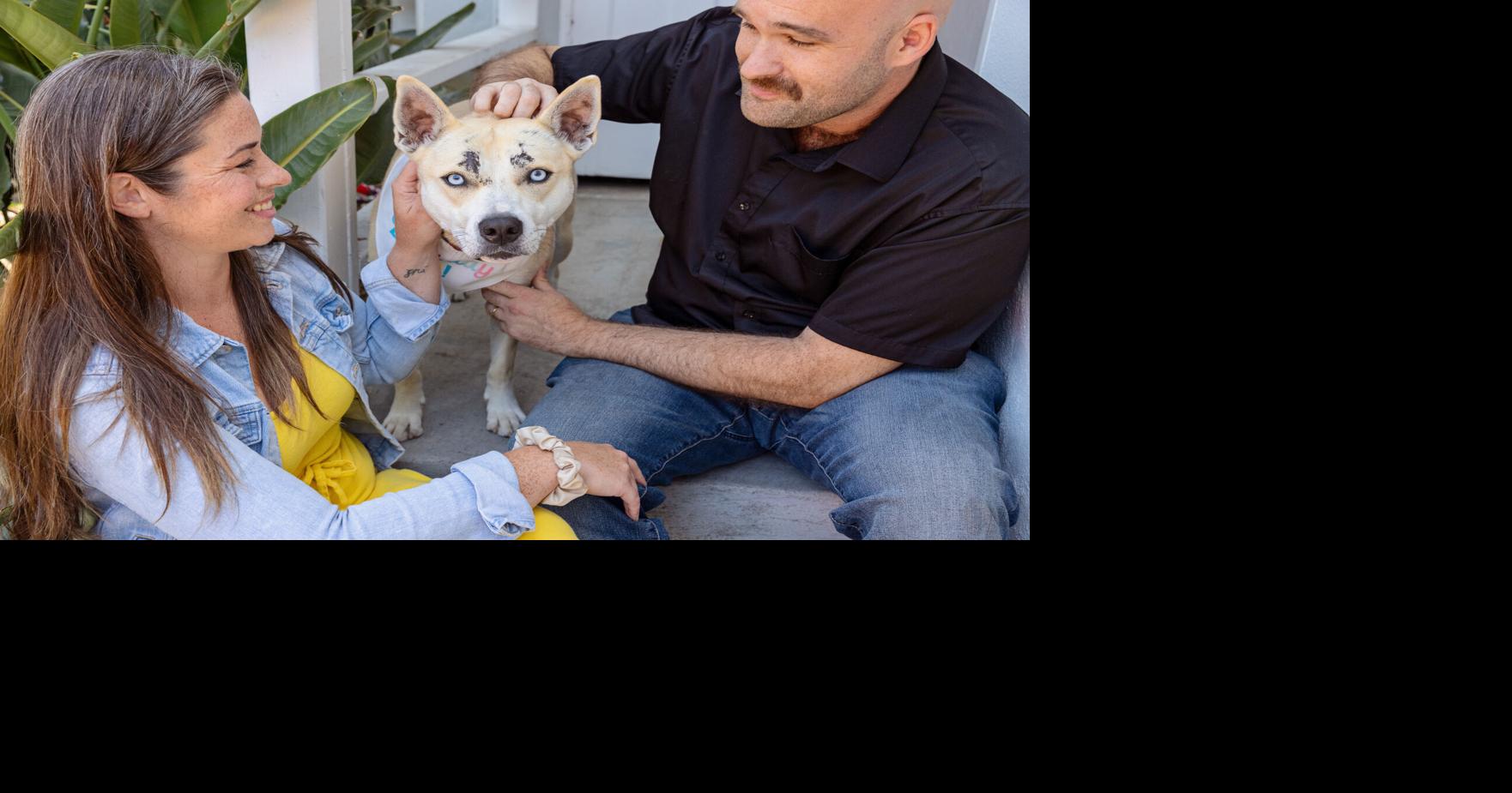 Here's 5 tips for Southern Utahns seeking a new furry friend this Adopt ...