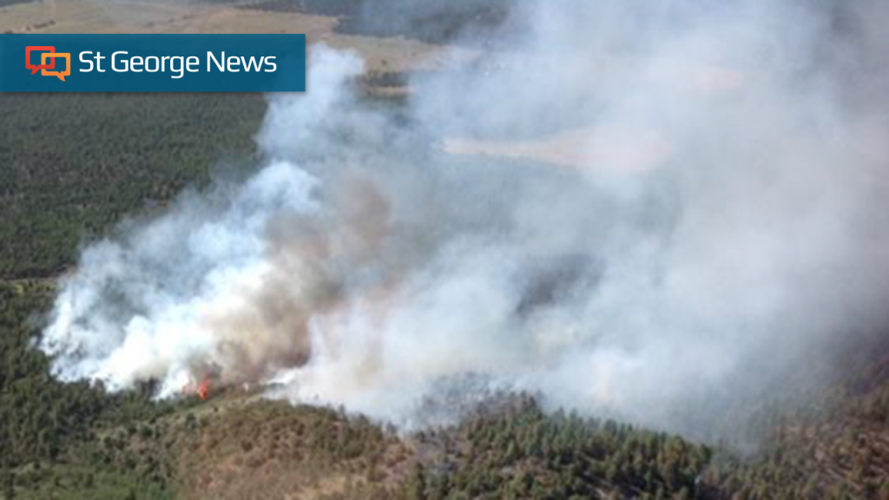 Fire official warns Red Cliffs Desert Reserve committee of potentially ...