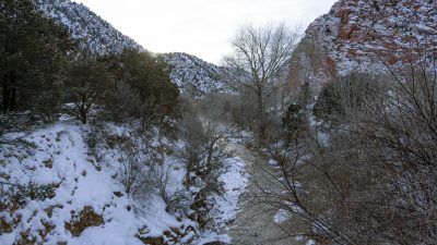 What does the future hold for Cedar Canyon Nature Park? | Explore ...