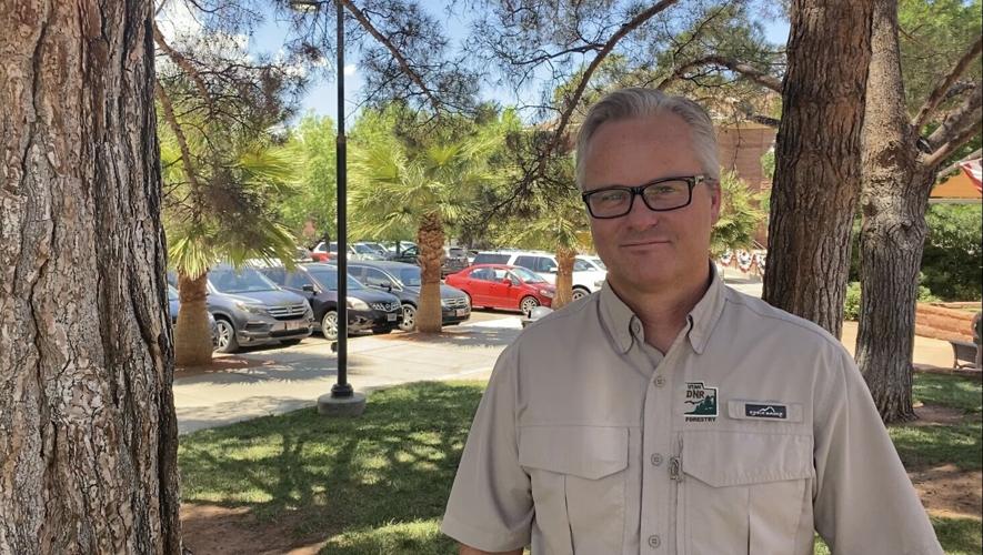 Hunting hidden giants: The search for Utah’s biggest trees takes ...