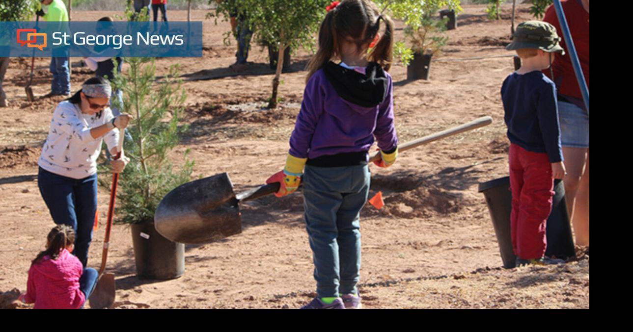 ‘Make the world a healthier place’ by celebrating Arbor Day in St ...