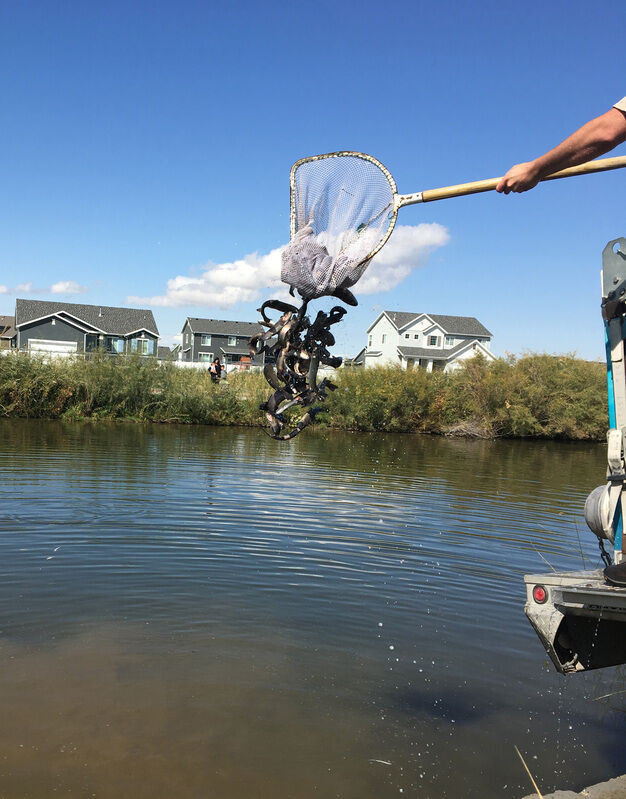 Division of Wildlife Resources stocks more than 11.6 million fish ...