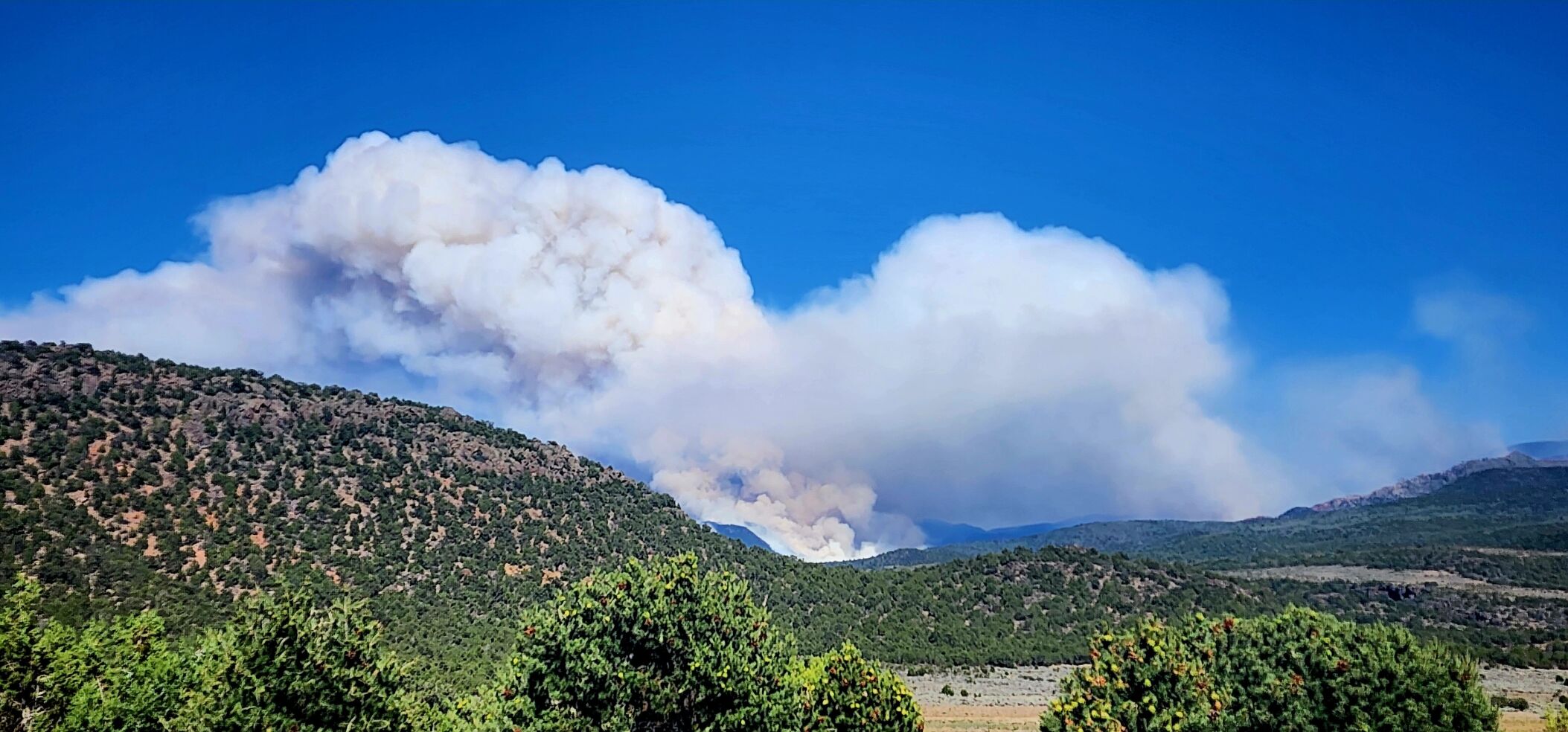 Evacuation orders remain as Forsyth Fire grows in Pine Valley area ...