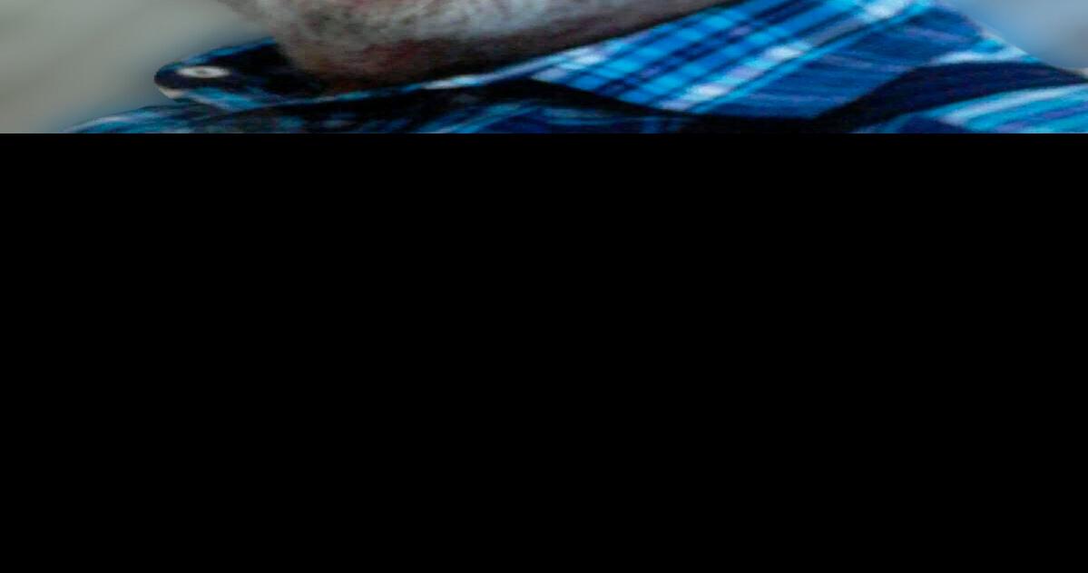 Richard Merritt Stewart | Obituaries | stgeorgeutah.com