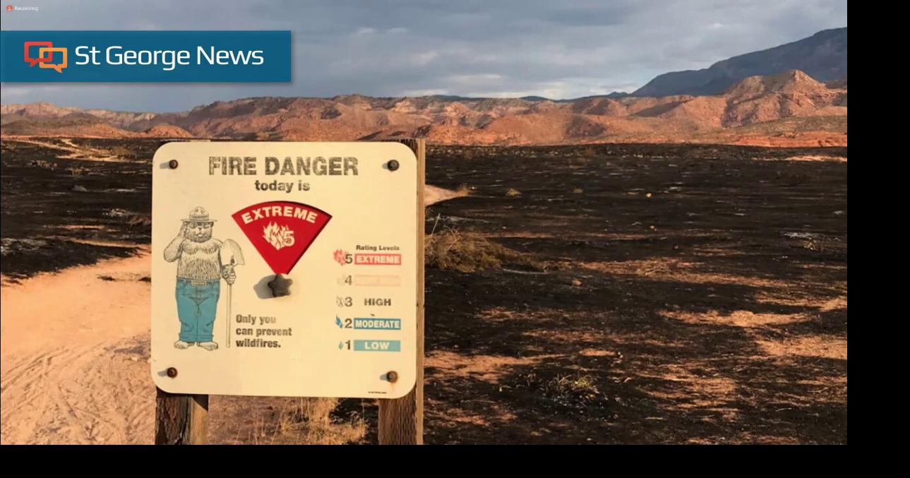 Wildlife officials say impact of recent fires on desert tortoises may ...