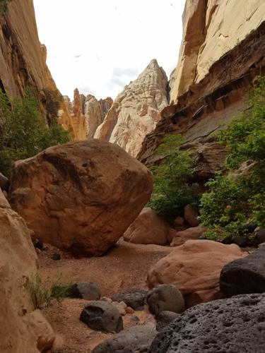 Capitol Reef day: Fruita, Wayne Wonderland, and a distinct geologic ...
