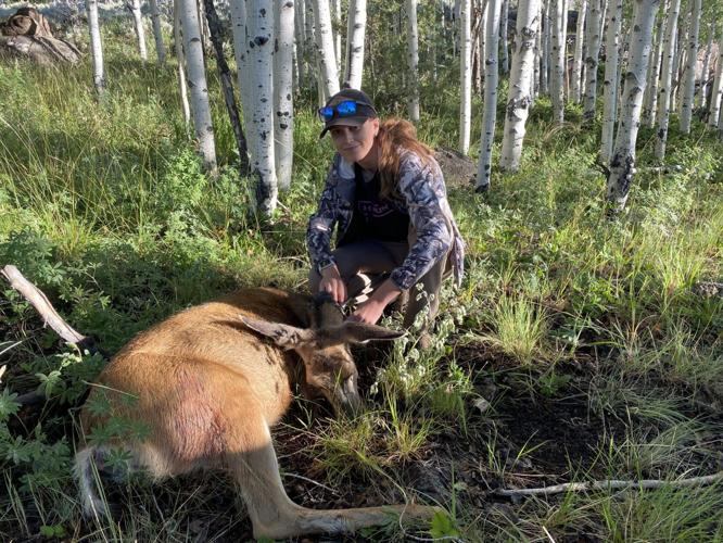 How can tracking deer benefit Fishlake National Forest’s Pando clone ...
