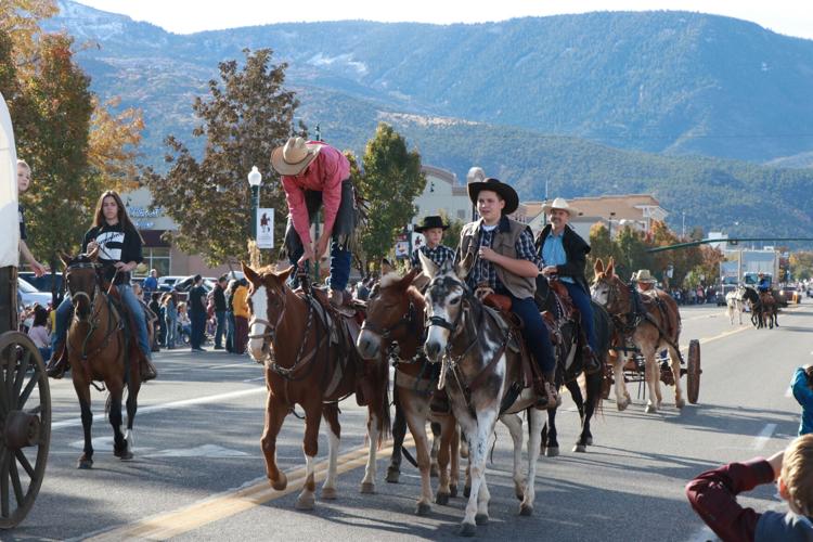 Photo gallery: Cedar City’s wild and woolly sheep parade | Events ...
