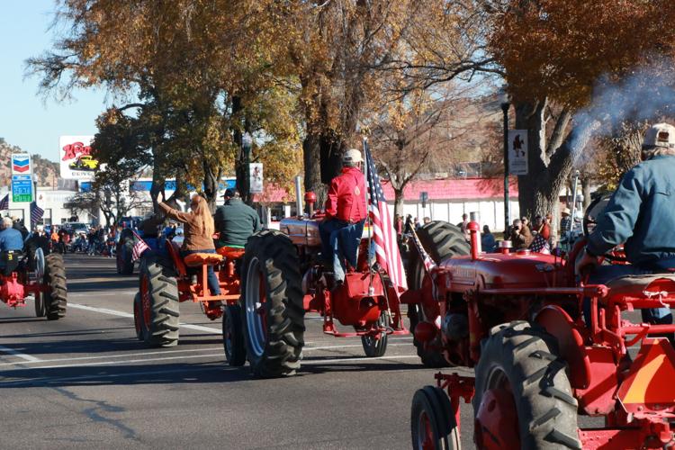 Hundreds of sheep parade down Cedar’s Main Street during livestock ...