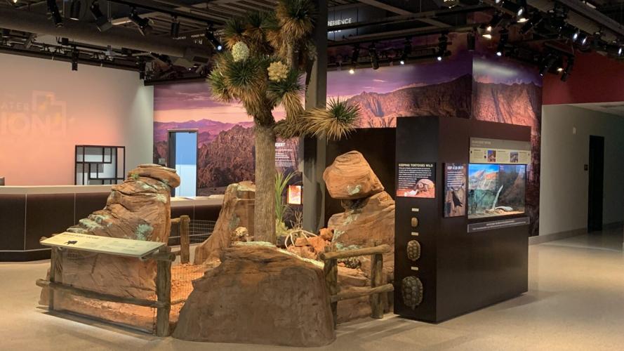 Red Cliffs Desert Reserve Discovery Center opens in St. George ...