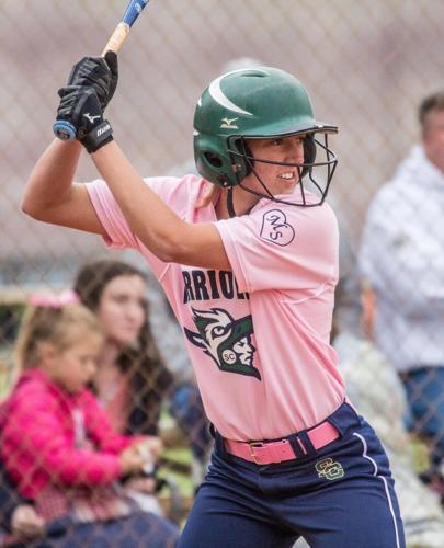 3A softball playoffs: SC one of faves heading into 1st round | Canyon ...