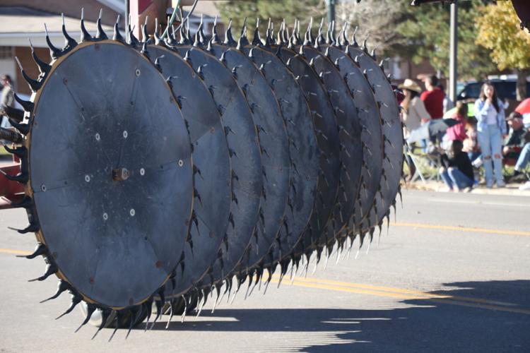 Video, photo gallery: Cedar City’s annual sheep parade | Events ...