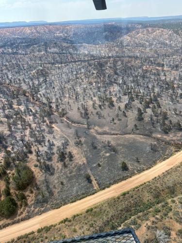 With Deer Springs Fire 100% contained, national monument roads, parking ...