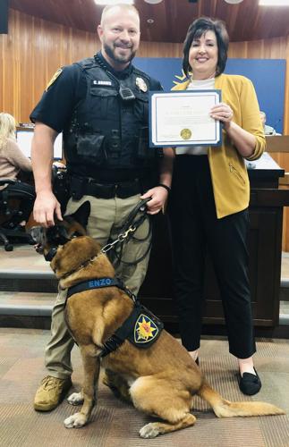 Stabbed Hurricane K-9 nearly ready to get his paws back on patrol ...