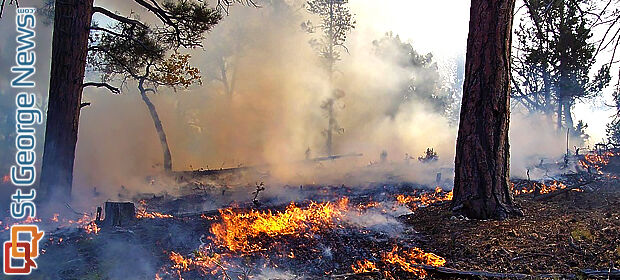 Mason Fire in Kaibab National Forest reaches final size, 4,370 acres ...