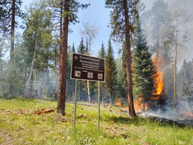 Wildfires in northern Arizona grow as fire managers monitor their ...
