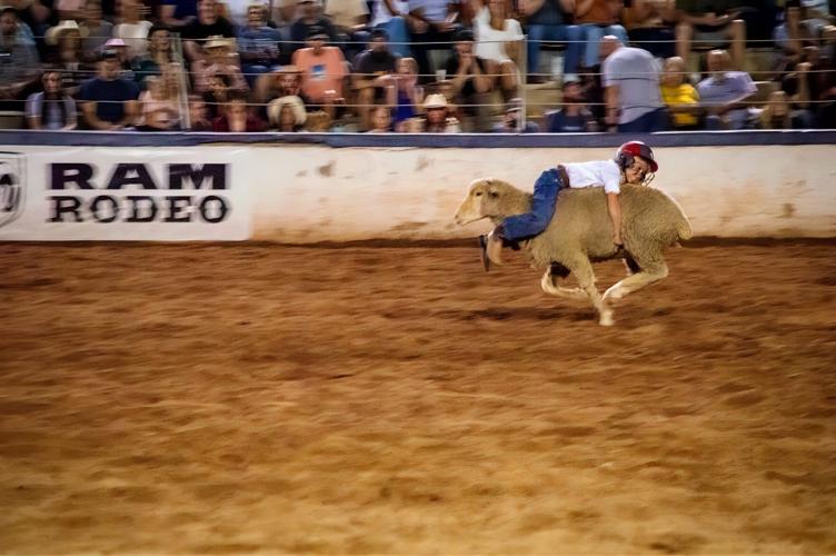 Photo Gallery: Dixie Round-Up Rodeo fans see arena record broken ...