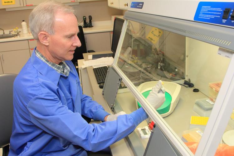 Genomics lab opens for public tour, facilitates targeted therapies for ...