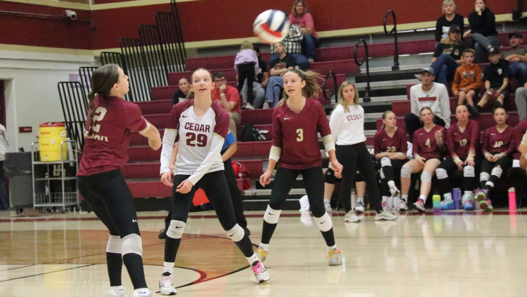 Cedar, Dixie win 1st-round volleyball playoff matches, will join 3 ...