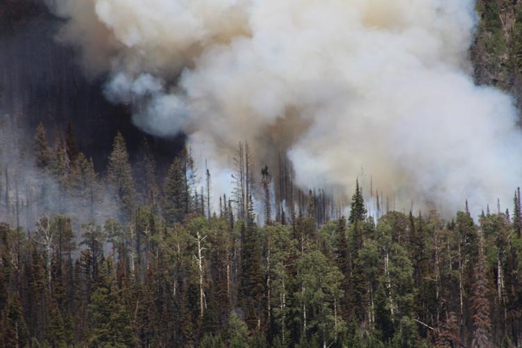 Brian Head fire spreads to nearly 50,000 acres overnight | Local News ...