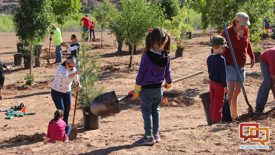Celebrate this Arbor Day by planting new trees, nurturing established ...
