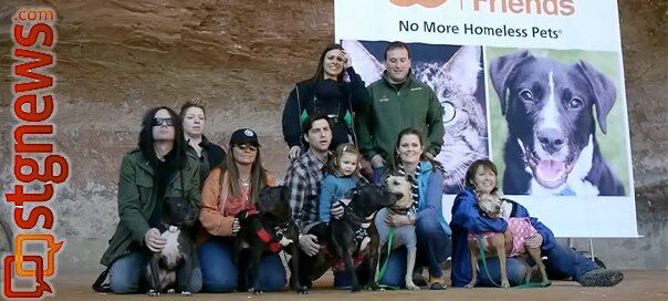 Michael Vick fight dogs today: ‘Vicktory’ dogs, ambassadors of hope ...