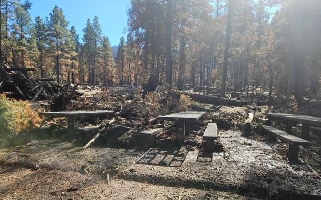 After summer fire causes damage, crews work to repair Pine Valley rec ...