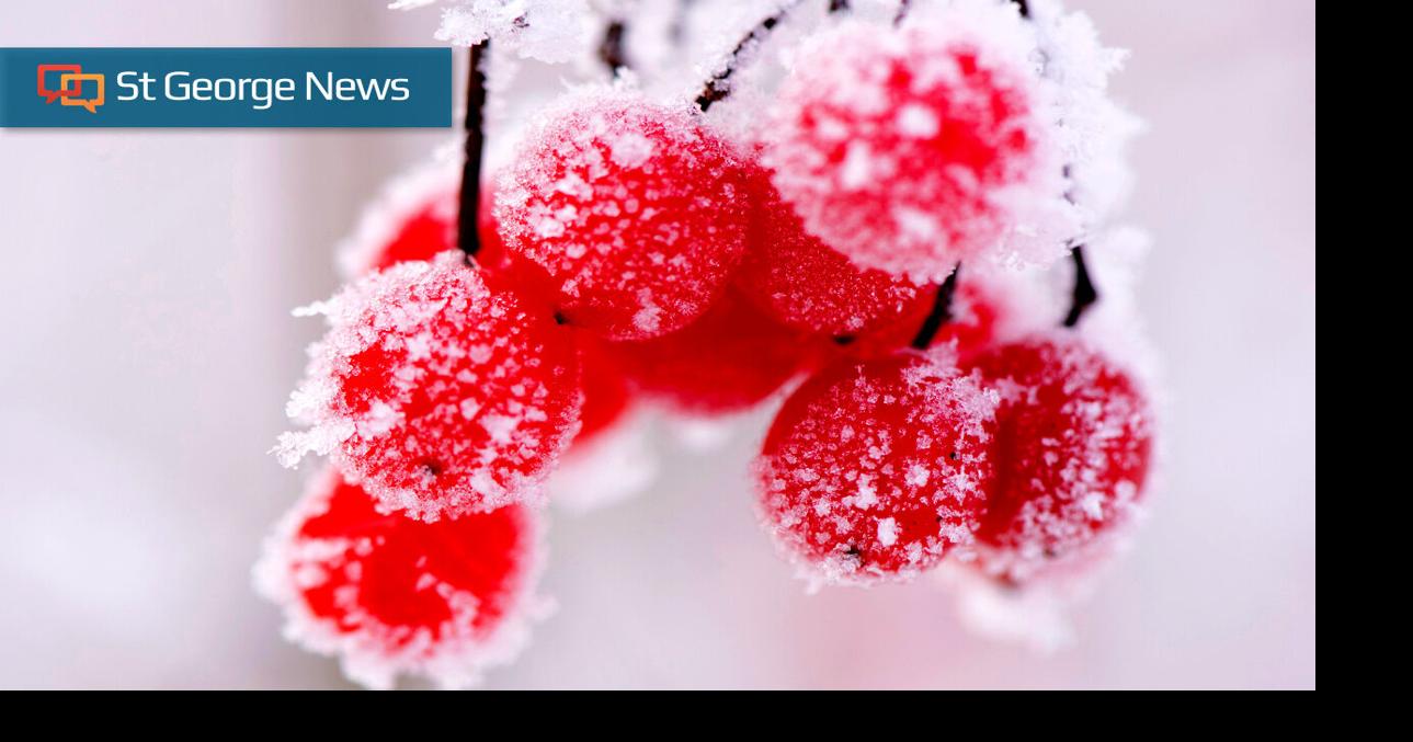 Hard freeze watch issued for lower Washington County through Monday ...