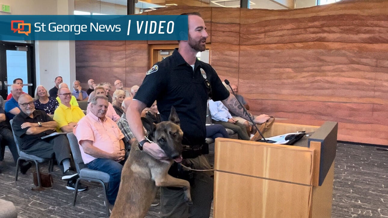 Meet Rosko: Ivins City Council welcomes replacement K9 recruit | News ...