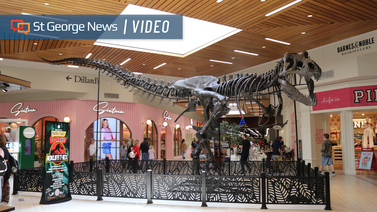 T. rex takeover: Red Cliffs Mall goes prehistoric with giant dinosaur ...