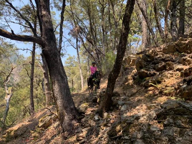 Mother and daughter horseback riders from Leeds finish Tevis Cup, a 1 ...