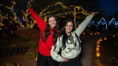 Discover the Desert: Take a magical stroll through this sparkling ...