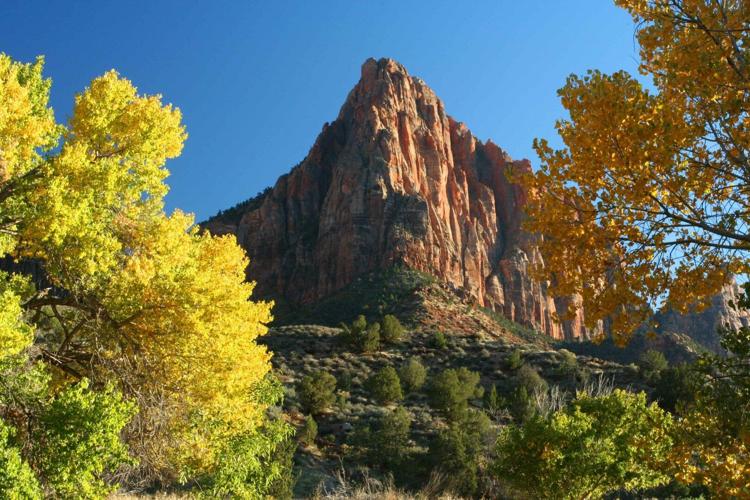 As Autumn leaves color and fall, so do rates at Zion Lodge | Life ...
